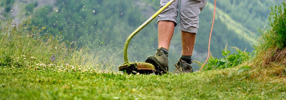 Entretenir son jardin : comment le débroussailler ? - Cdiscount