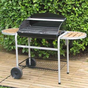 Barbecue fonte - les bons plans de Micromonde