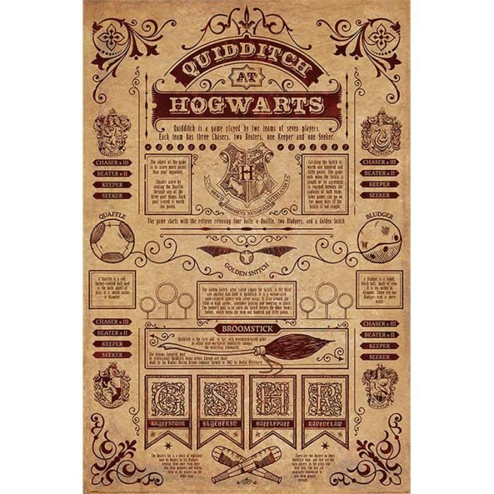 Poster Harry Potter - Quidditch at Hogwarts Règles du Quidditch (en aglais) - Achat / Vente ...