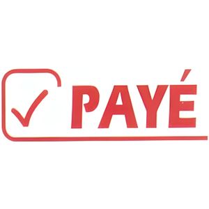 Tampon paye - Achat / Vente Tampon paye à prix canon - Cdiscount