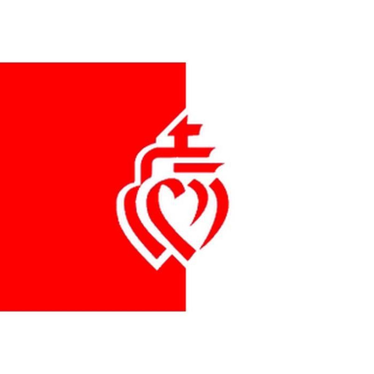 Drapeau de vendée 60/90 cm - Prix pas cher - Cdiscount