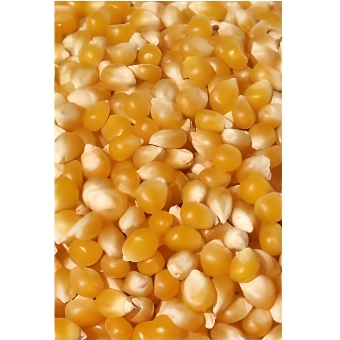 Mais a pop corn - Achat / Vente pas cher