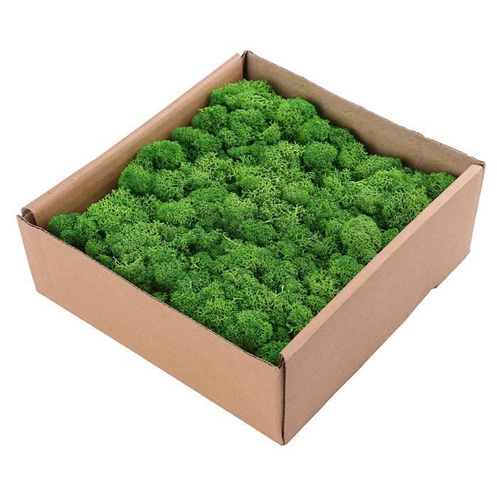 Mousse verte deco - Achat / Vente pas cher