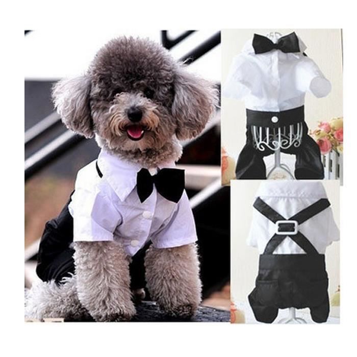 Costume pour chien - Achat / Vente pas cher