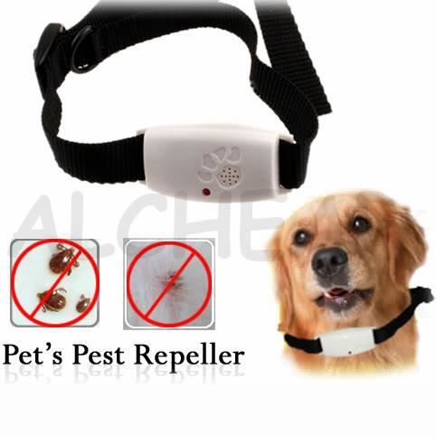 Collier anti puce - les bons plans de Micromonde