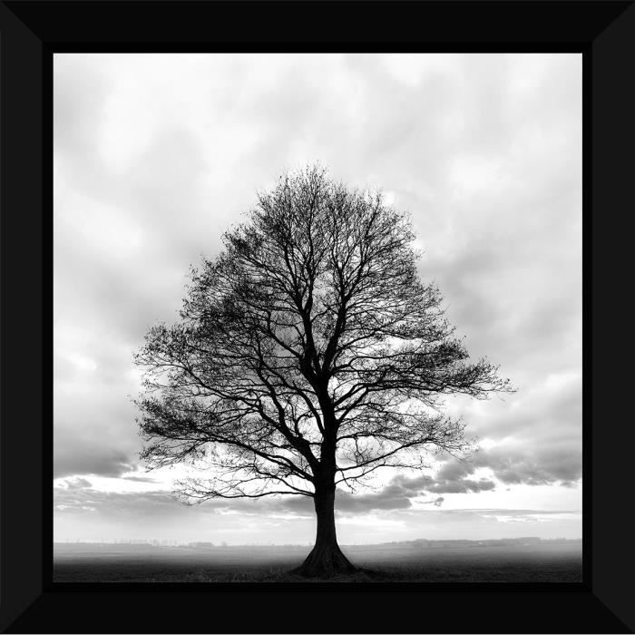 Tableau encadré 60x60 - Arbre noir et blanc - Achat / Vente tableau ...